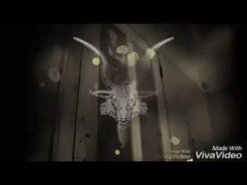 Deep Web Vidéos: Serial Killer