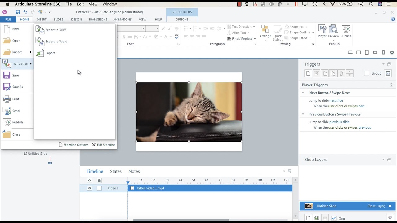 Things You Can Export from Articulate Storyline - YouTube