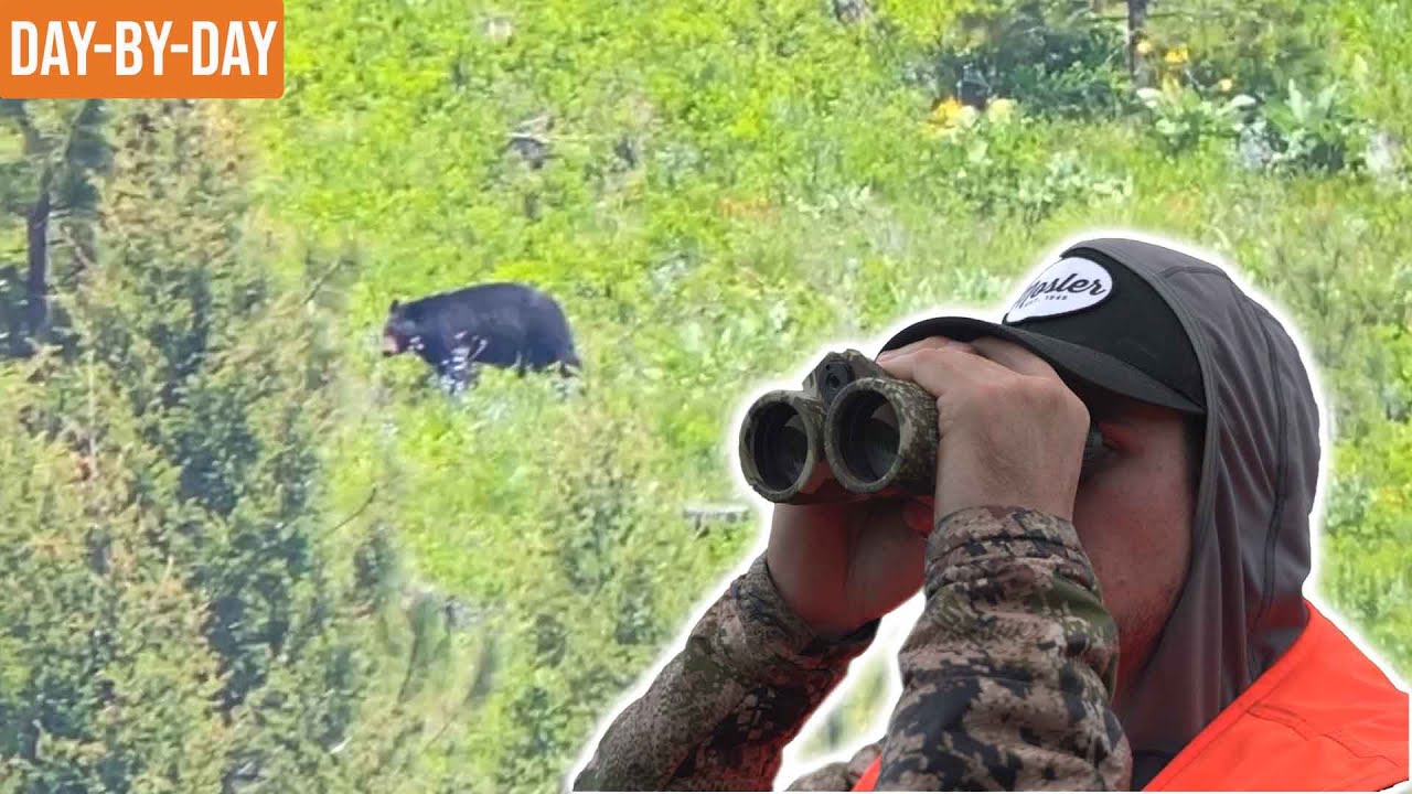 We Found a Boar! | MT Bear with Jace - YouTube