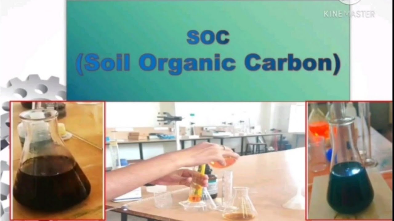 Soil organic carbon// organic matter// SOC// Fundamentals of Soil ...