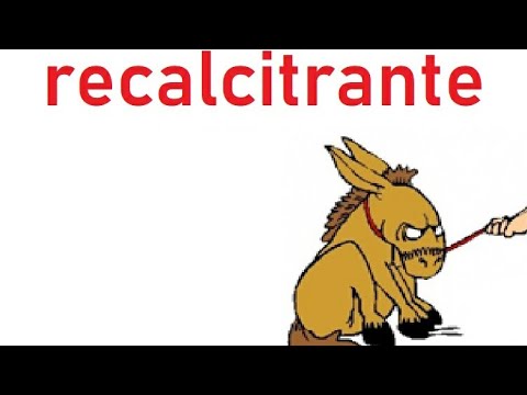 Recalcitrante - YouTube