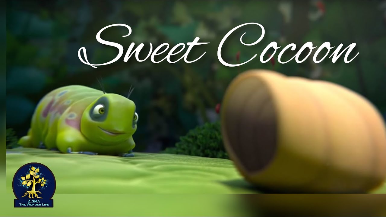 The Sweet cocoon - YouTube