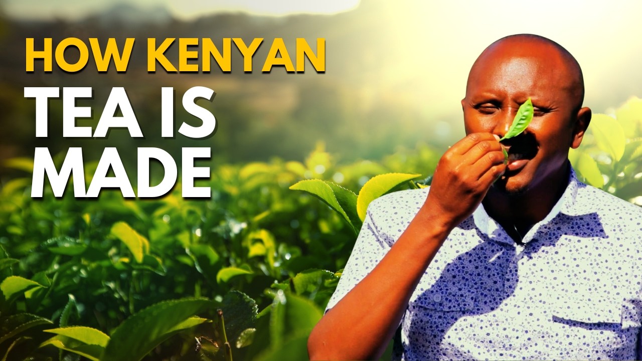 "From Leaf to Cup: Unveiling the Art & Soul of Kenyan Tea" - YouTube