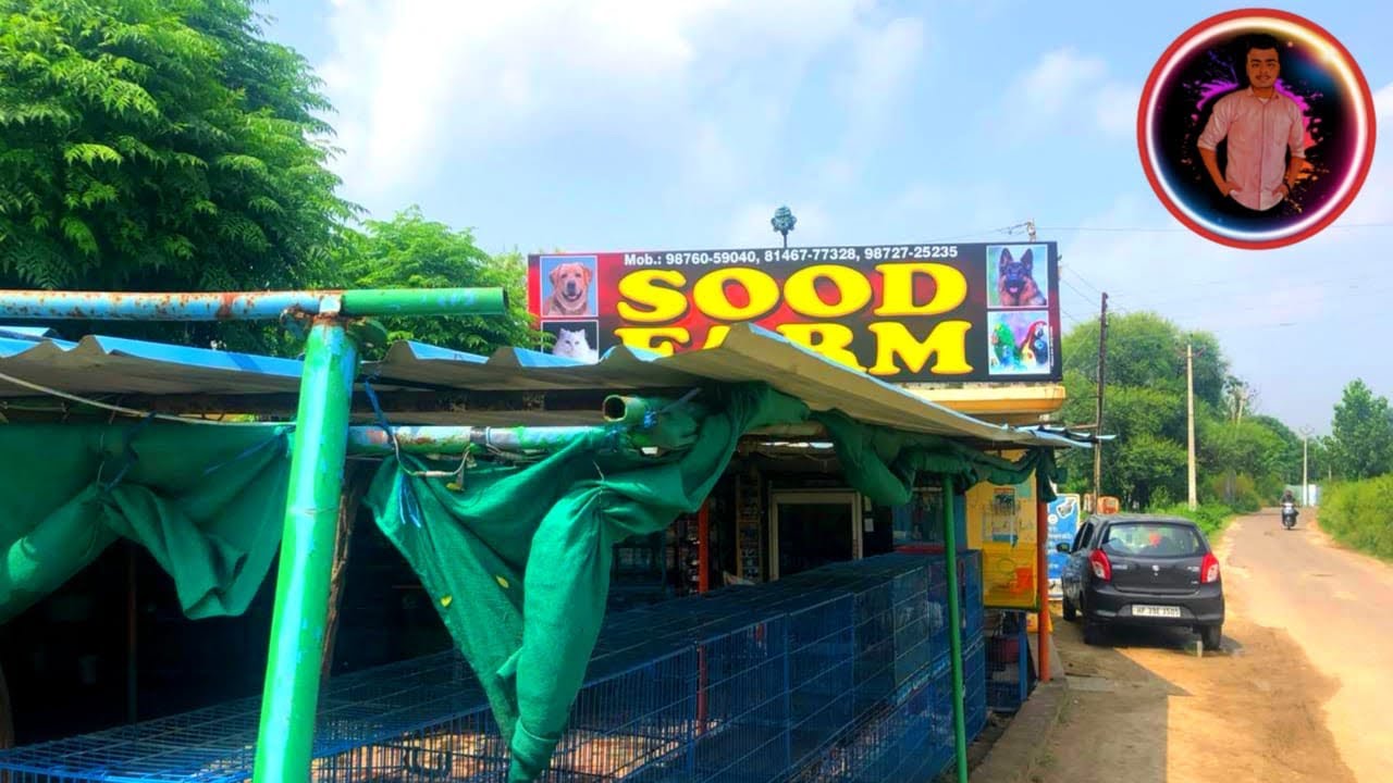 Exploring Sood Farm Hoshiarpur|Vikrant's Vlogs @soodfarm735 - YouTube
