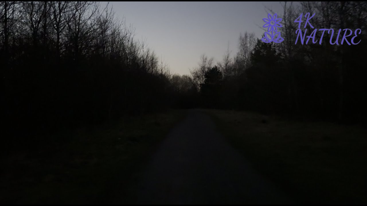 A peaceful night time walk - YouTube