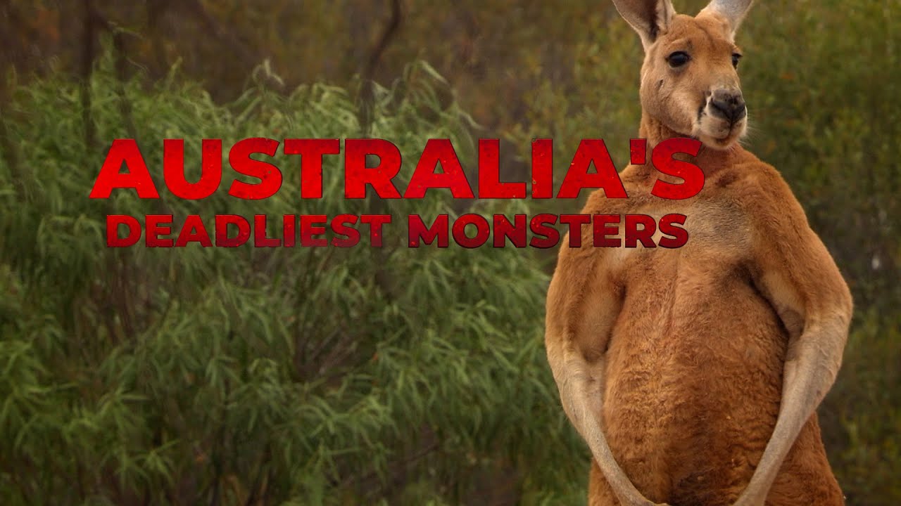 Australia's Deadliest Monsters: Outback Terrors #animals #australia # ...