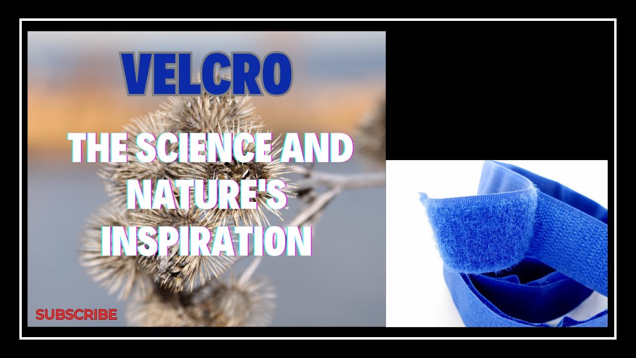 Velcro: The Science and Nature’s Inspiration - YouTube