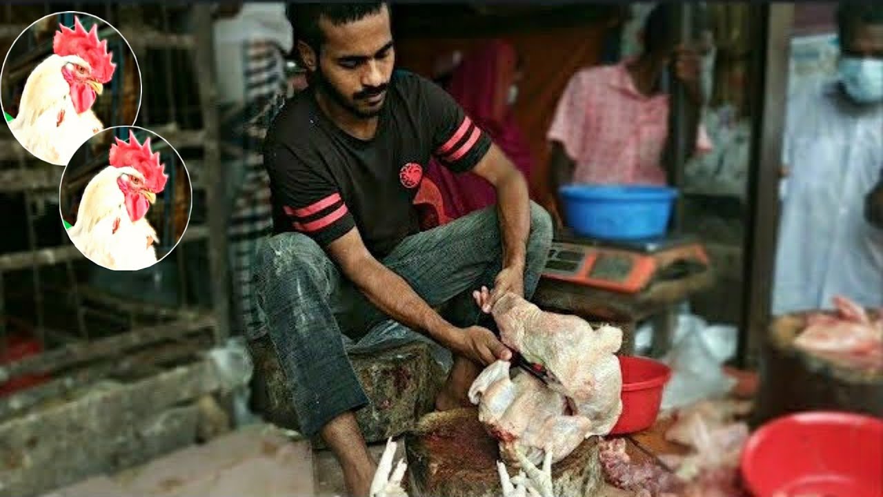 Super First Chicken Cutting Skills in Chicken Market with Knife by ...