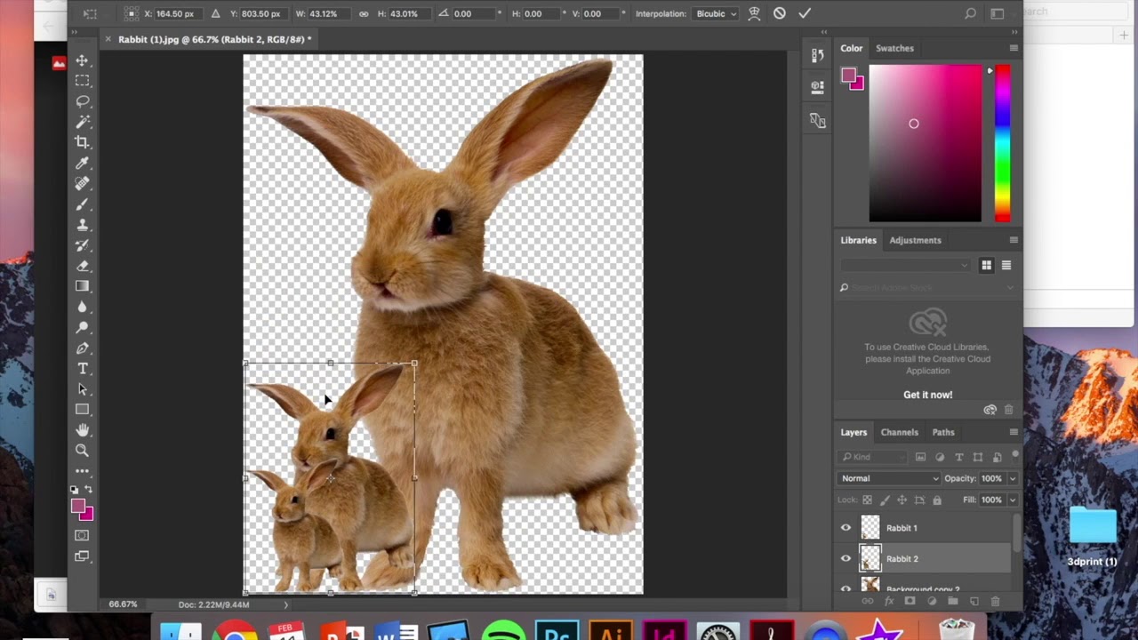 Photoshop: Rabbits - YouTube