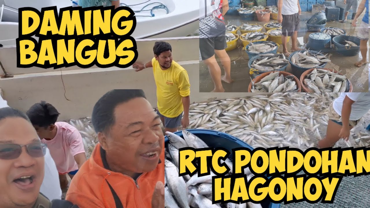 PONDOHAN NG BANGUS DITO SA HAGONOY BULACAN PINASILIP @TAONGGALA # ...