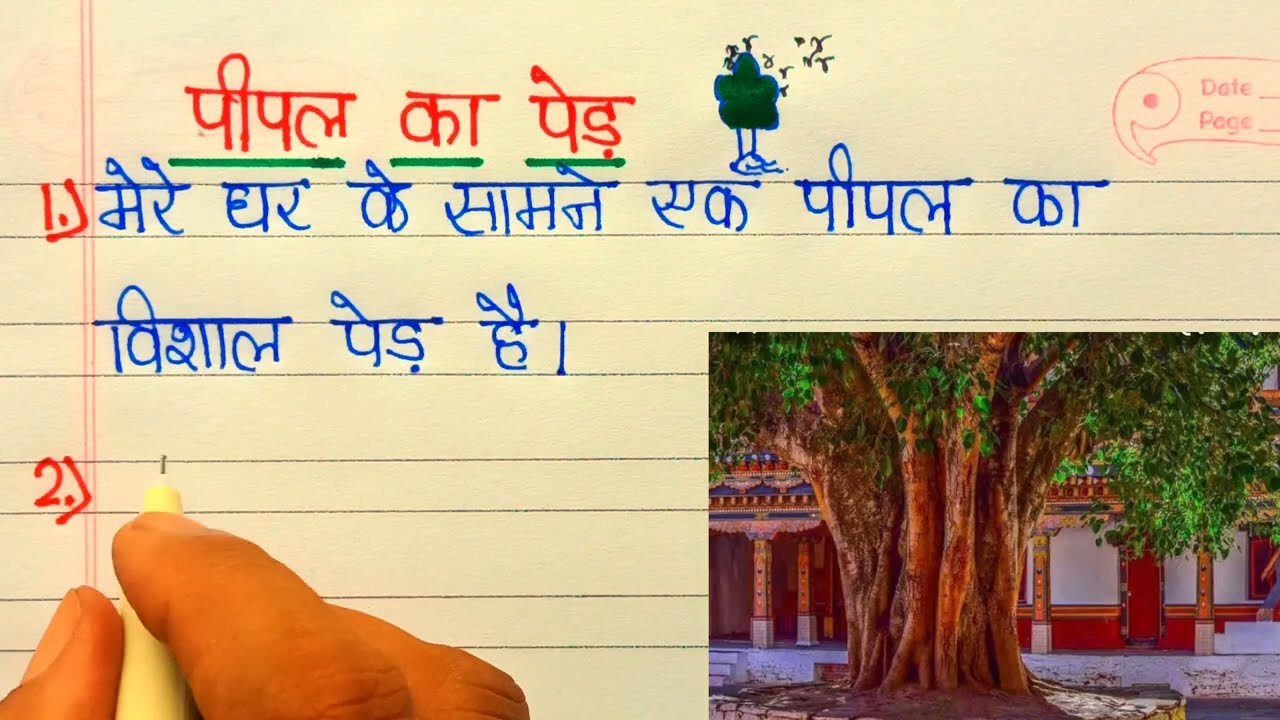 Peepal ka ped 🌳पीपल का पेड़ ! pipal ka ped ! Peepal ka ped ki Aayu ...