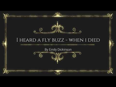 I heard a Fly buzz - when I died by Emily Dickinson short film. - YouTube