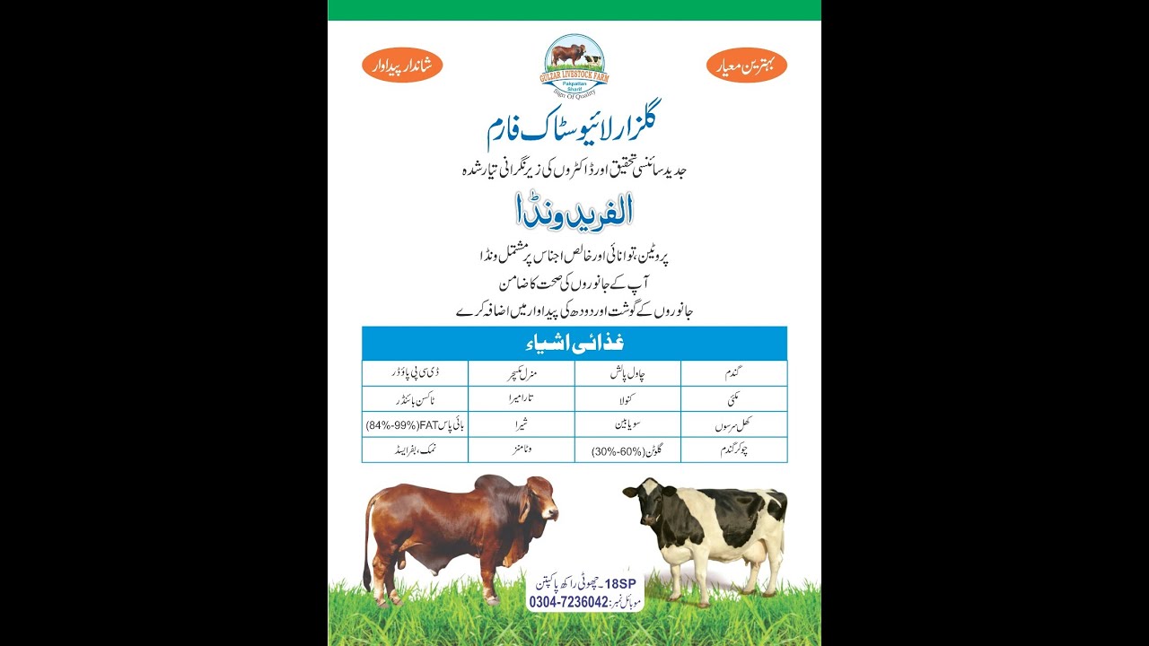Wanda Making at Gulzar Livestock Farm - YouTube