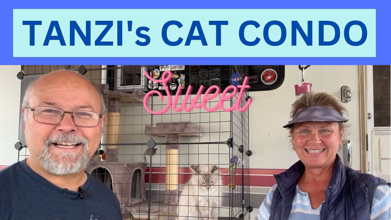 PRODUCT REVIEW - RV LIFE: Tanzi has a new Cat Condo Catio. - YouTube