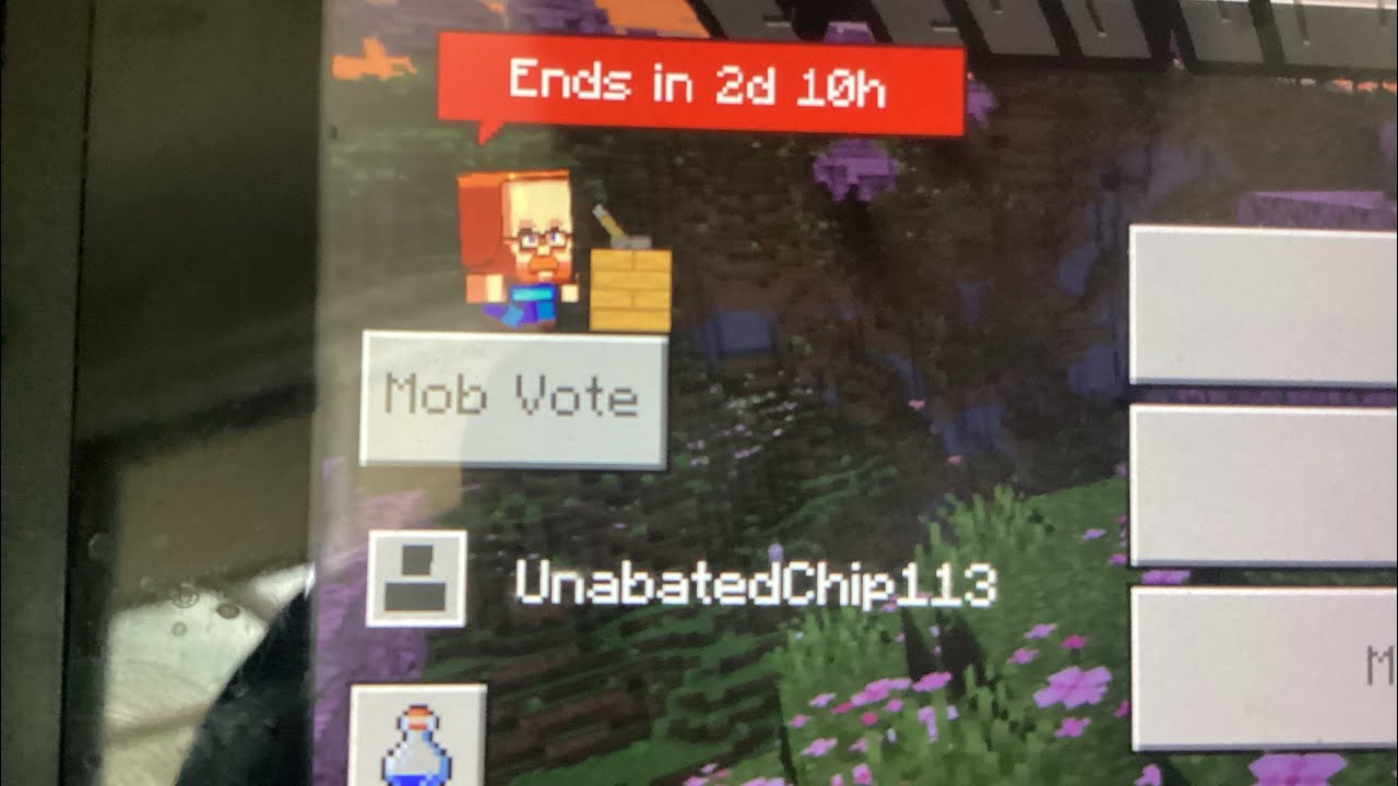 MINECRAFT MOB VOTE pt 1 - YouTube