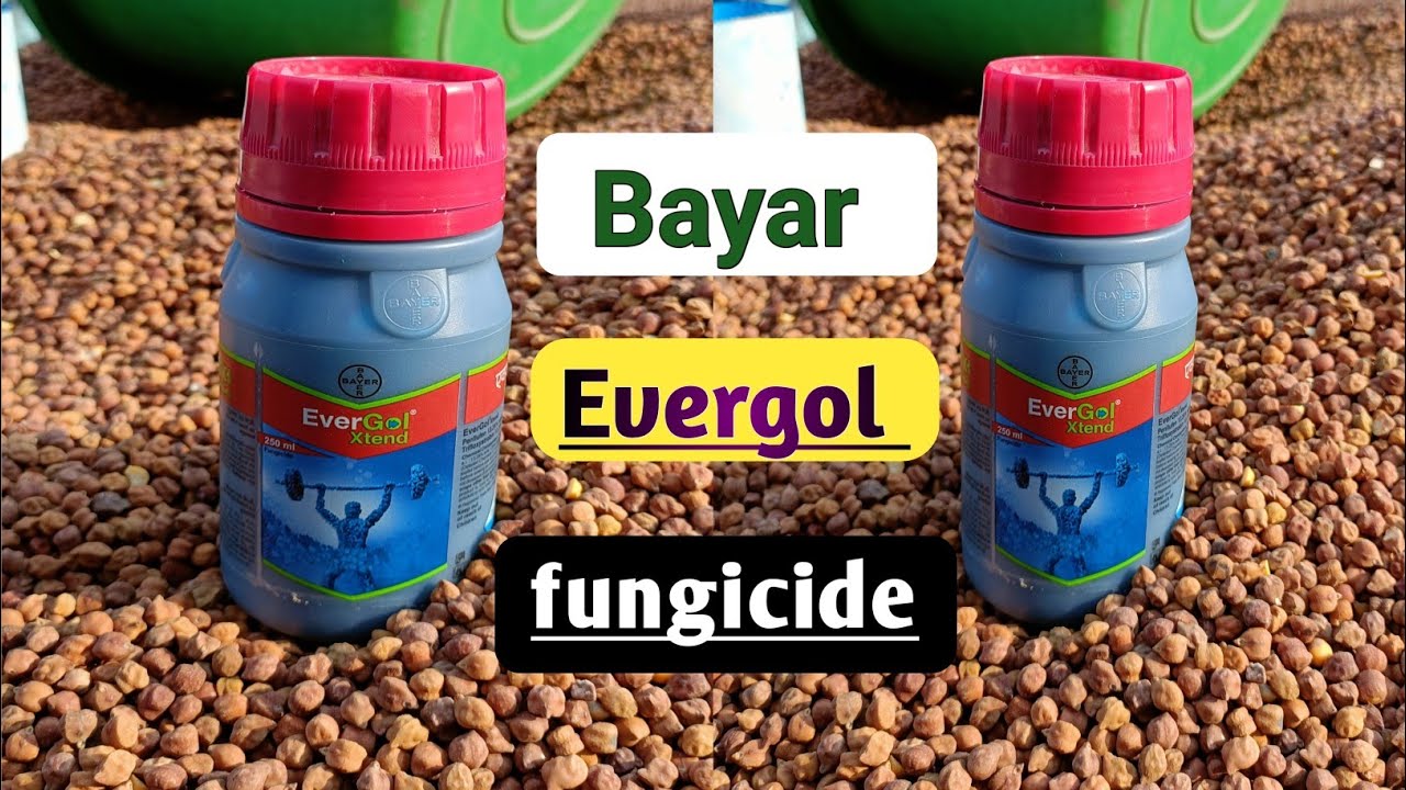 Evergol xtend uses in hindi |bayer evergol xtend | bayer evergol xtend ...