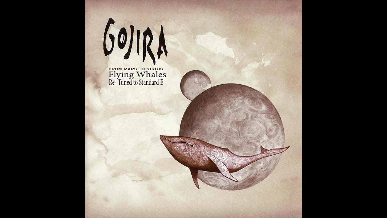 Gojira - Flying Whales [Re - Tuned to Standard E] - YouTube