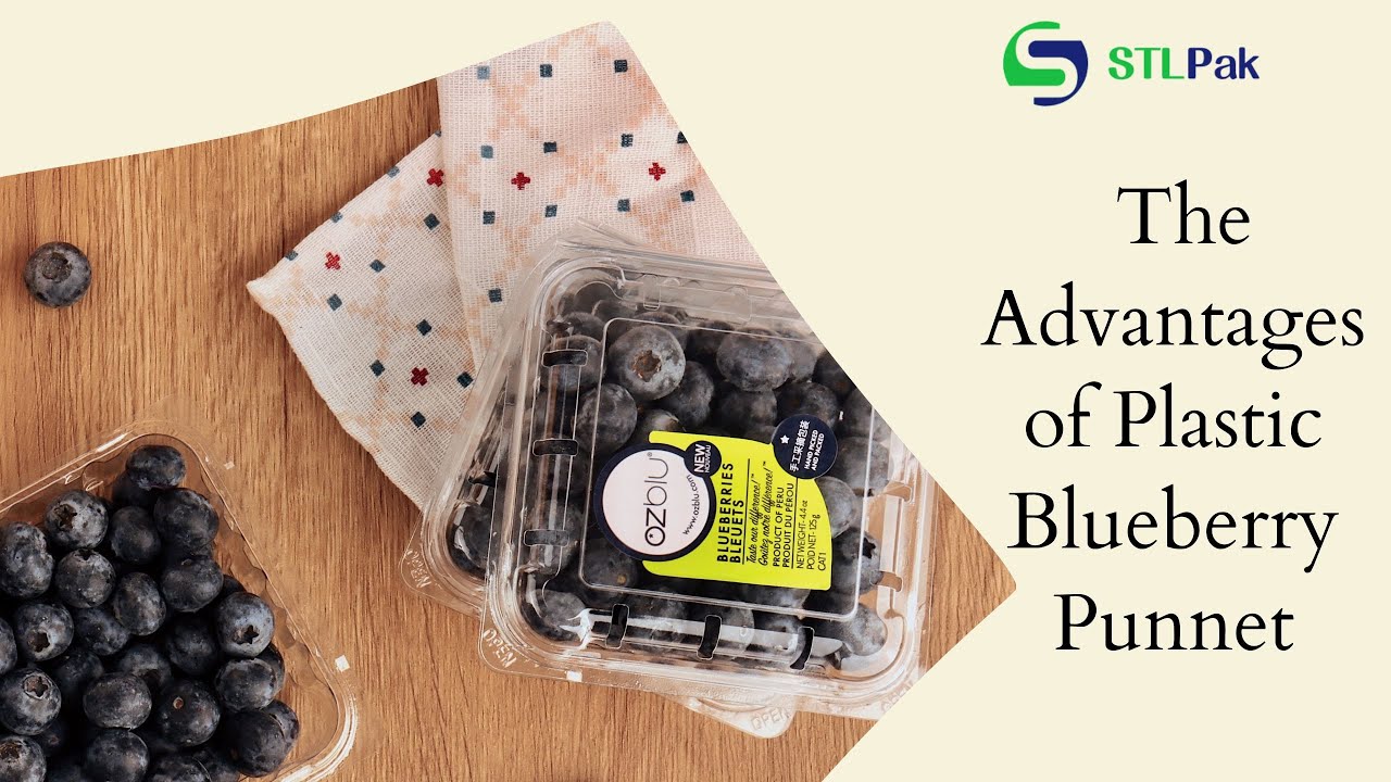 Maximizing the Advantages of Plastic Blueberry Punnet Usage 🍇 - YouTube