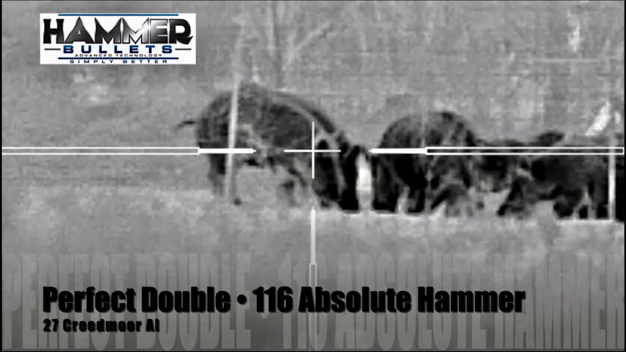 Perfect Double | 116 Absolute Hammer | 27 Creedmoor AI - YouTube
