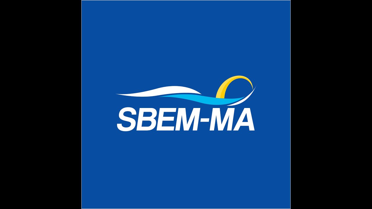 I Ciclo de Palestras Online da SBEM MA A Modelagem Matemática como ...