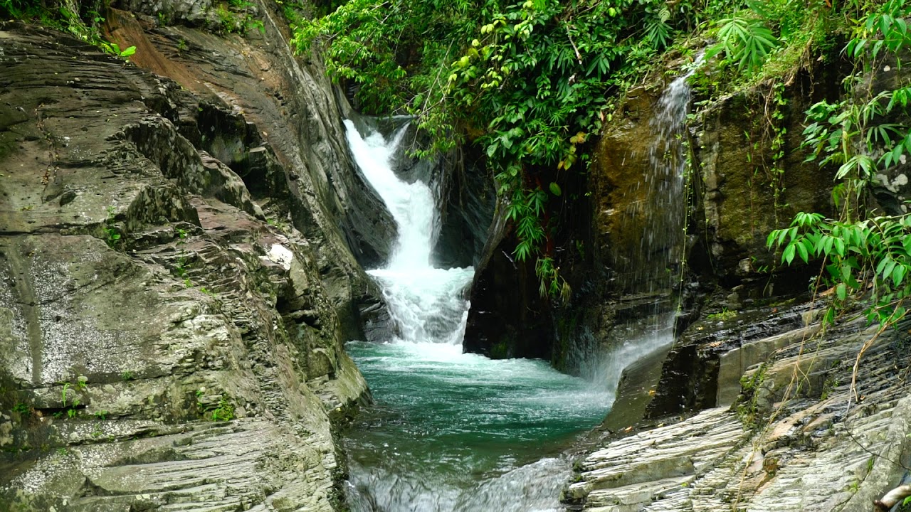 Terrifying Beauty - YouTube