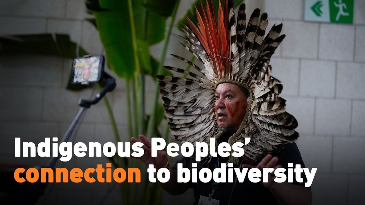 Indigenous Peoples’ connection to biodiversity - YouTube