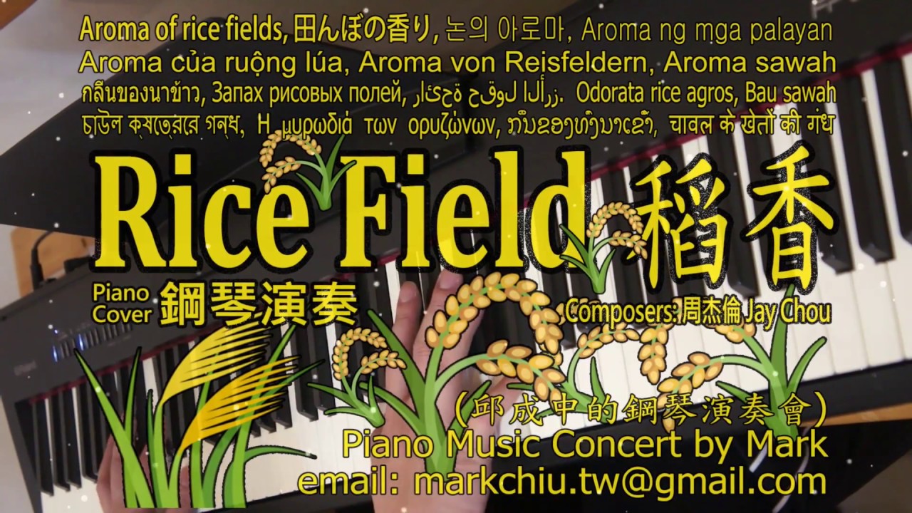 Rice Field 稻香-周杰倫 (Piano Music 真人鋼琴演奏音樂) - YouTube