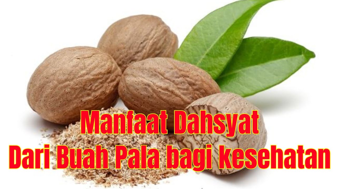 Buah Pala | Manfaat Kesehatan Dari Pala - YouTube