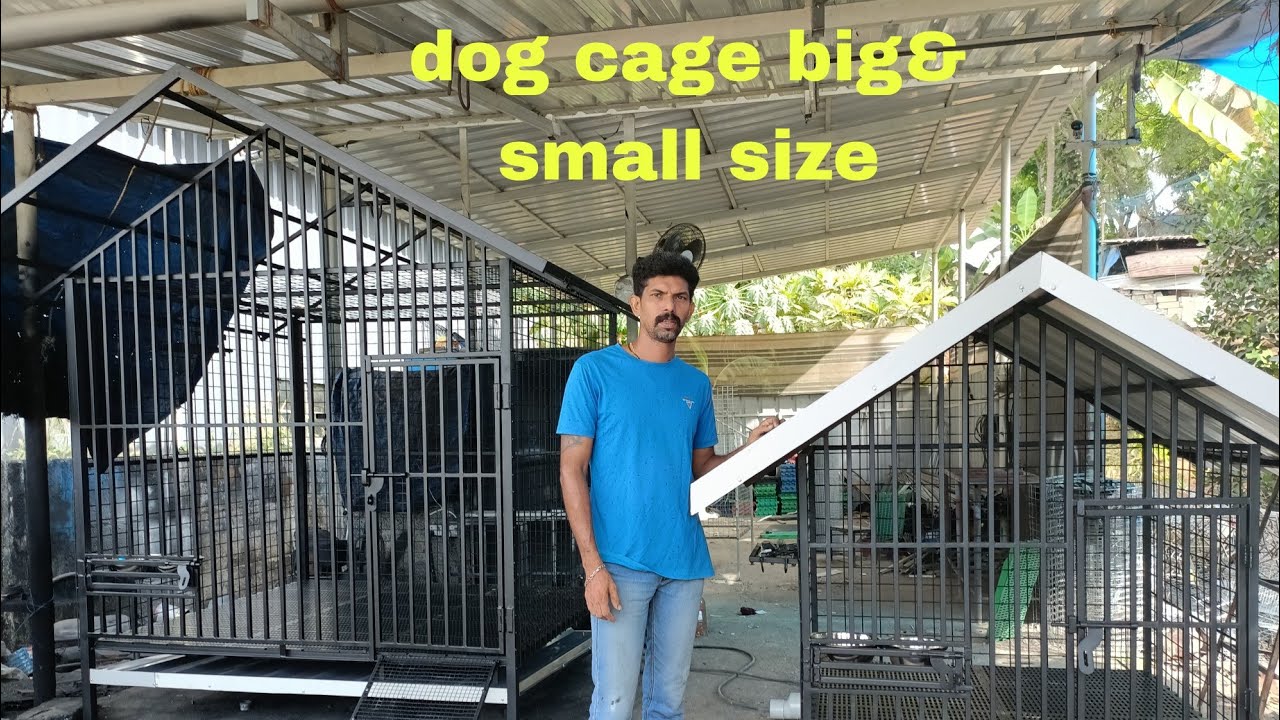 dog cage for cane corso & Beagle - YouTube