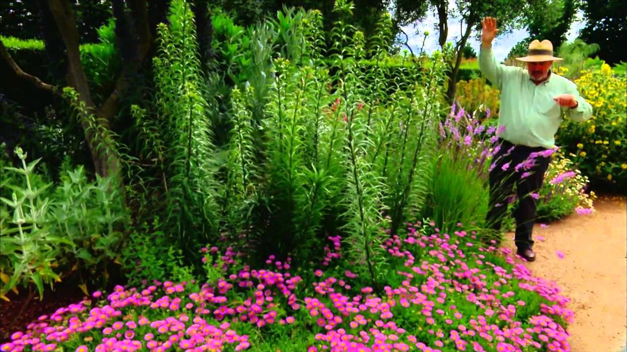 Dry Climate Gardening with David Glenn - Spring section - YouTube