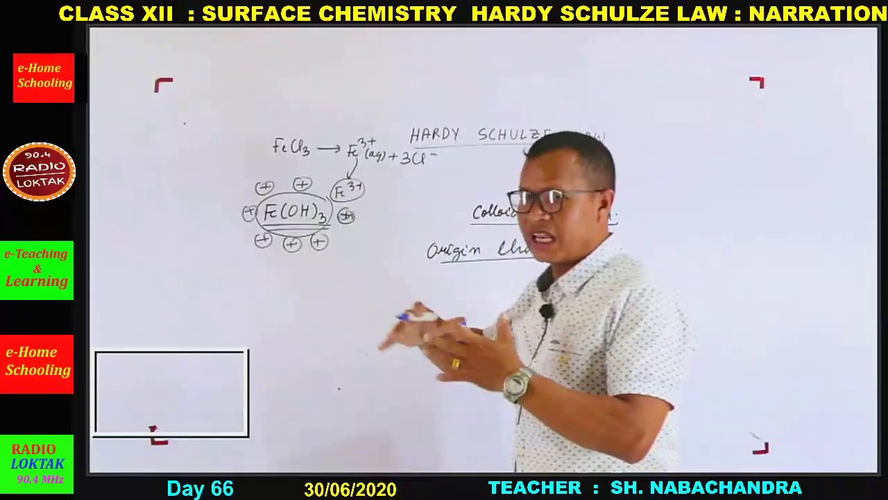 Day 66 _ Class XII Surface Chemistry _ Hardy Schulze Law by Sh ...