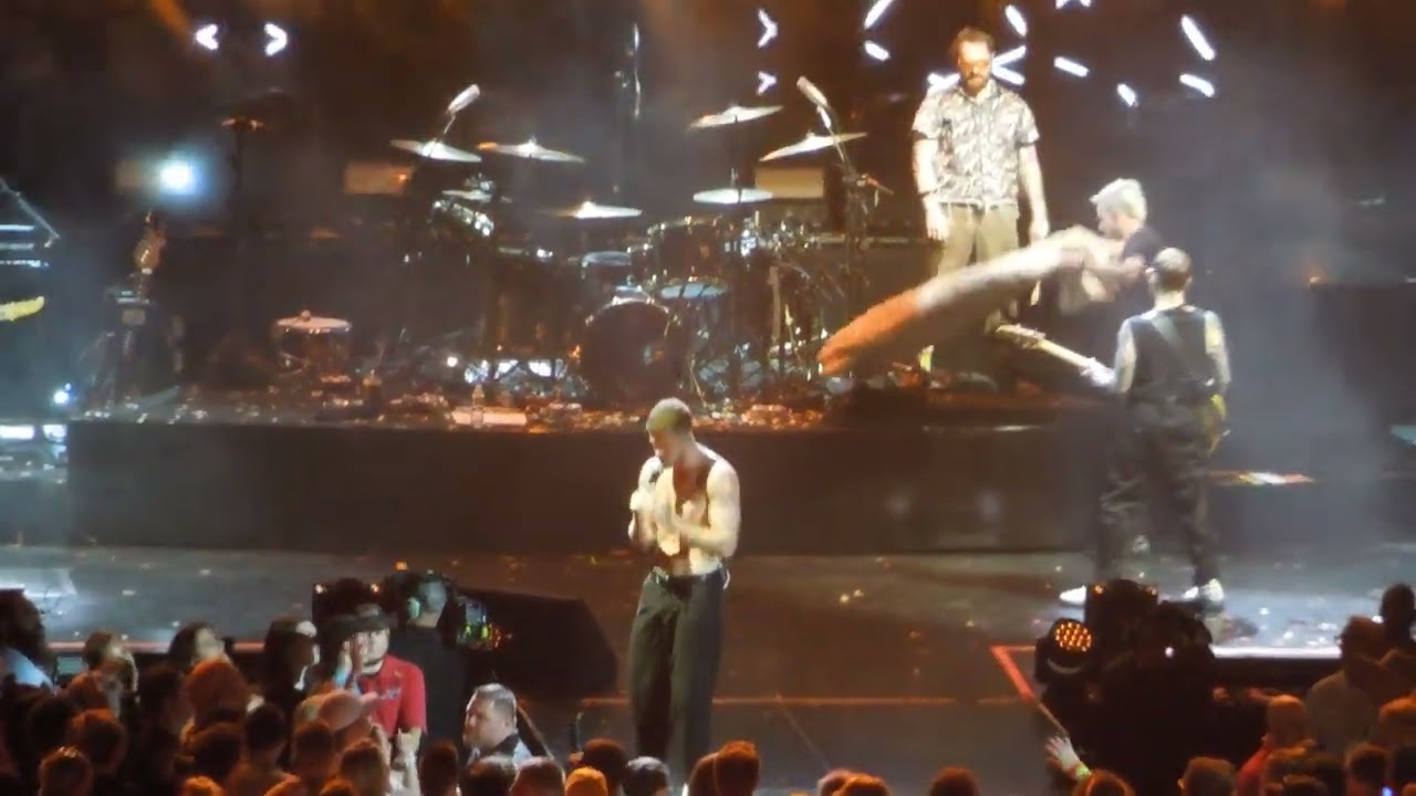 Bones - Imagine Dragons - YouTube