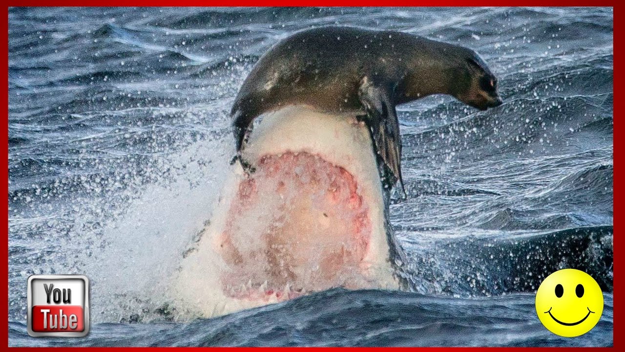 Ultimate Close Calls (Near Misses Compilation) - YouTube