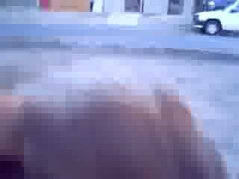 pitbull asesino