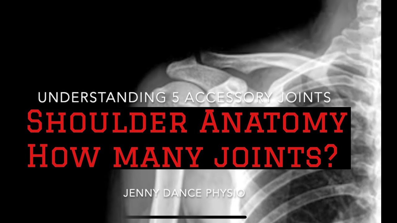 Shoulder Anatomy: Do you know there are 5 accessory Joints inside a ...