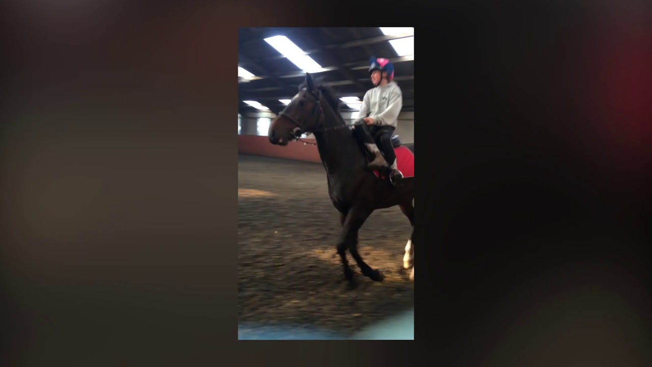 Wheal buller riding holiday 2017 - YouTube