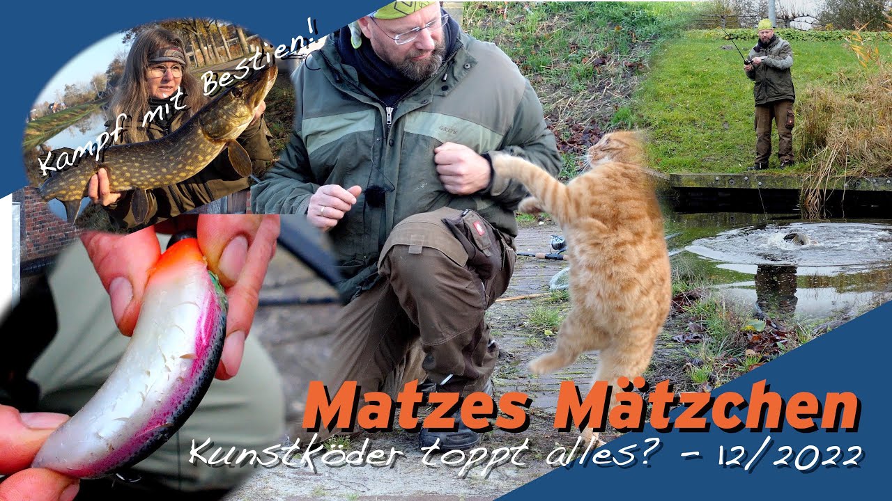 Matze Koch: Angel-Erfolg! Natur- oder Kunstköder? Matzes Mätzchen 12/ ...