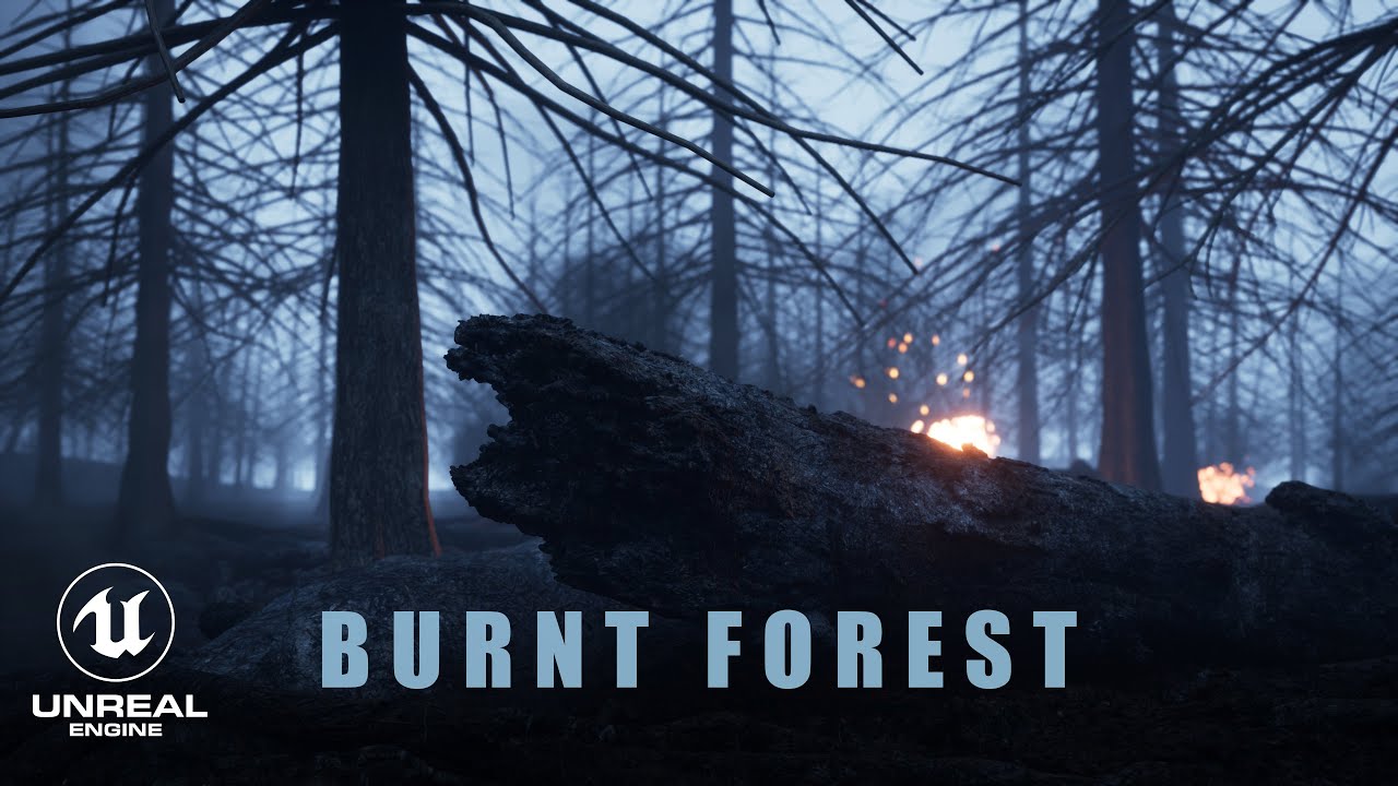 Unreal Engine 5.2 Burnt Forest - YouTube