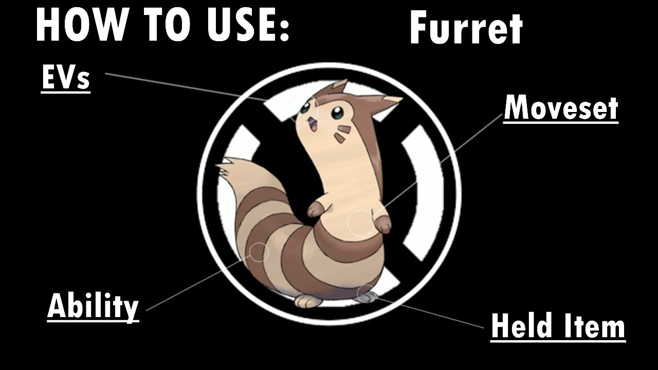 Competitive Guides- How To Use Furret - YouTube