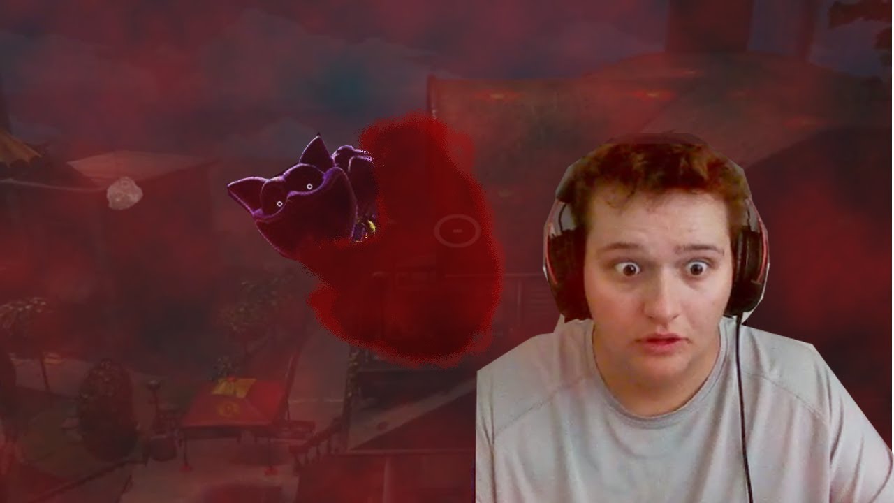 CATNAPS HOUSE!!! - YouTube