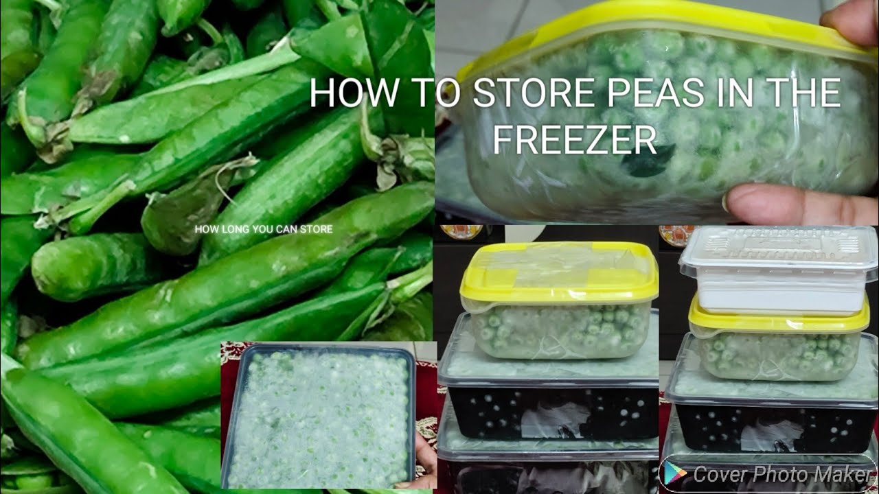 Best idea to store peas in the freezer/How to Store Peeled Green Peas ...