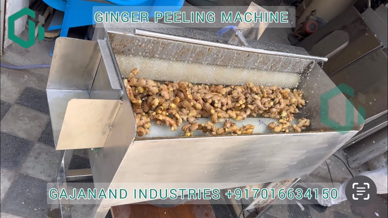 Ginger peeling machine ~ brush type ginger peeler | gajanand industries ...