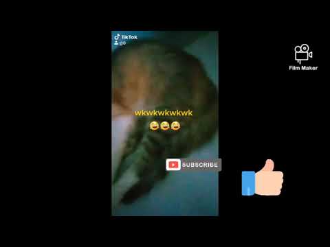 Lagi tidur malah di ganggu😂😂😂😂