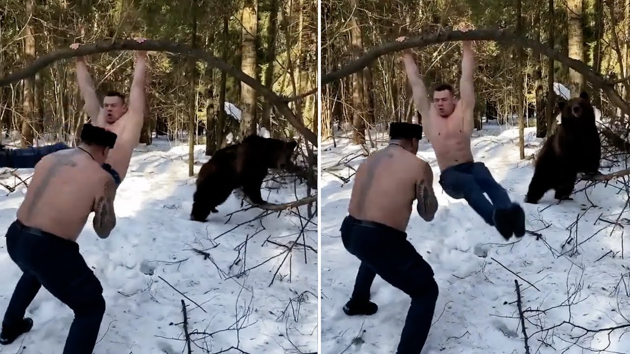 Outdoor Training with Bear: Playful Bear Interaction with Men - YouTube