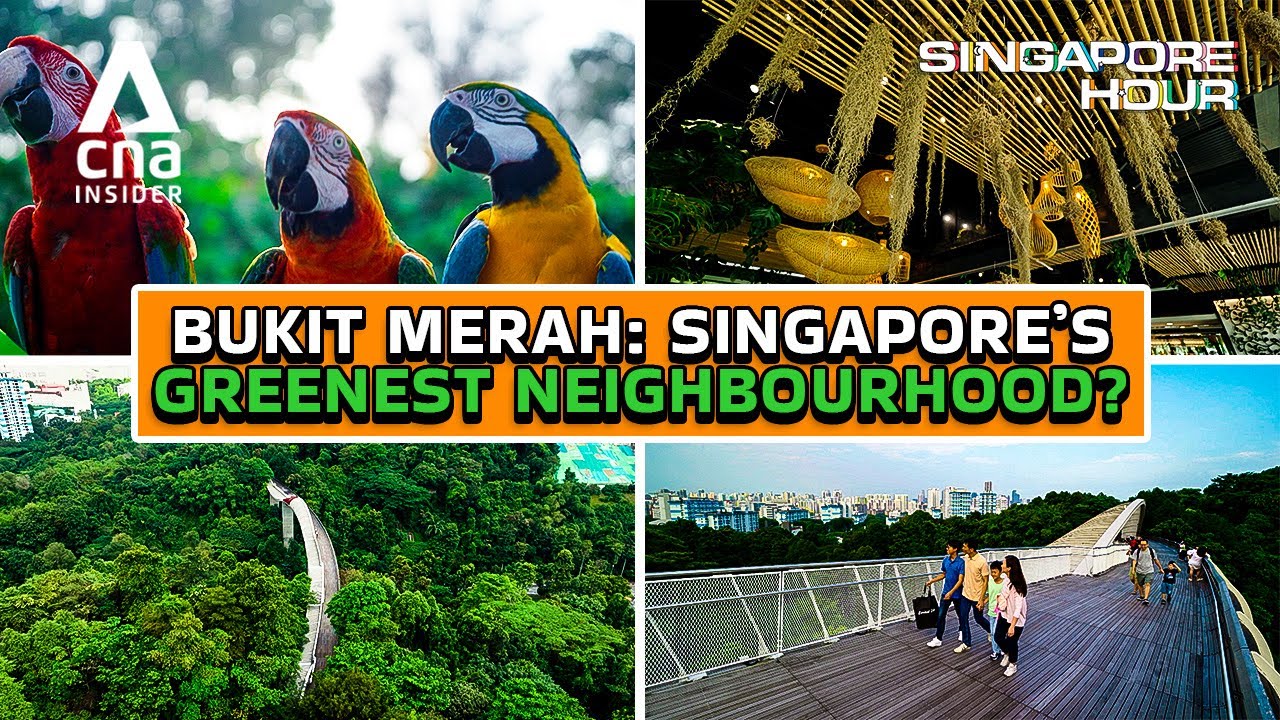 Why Bukit Merah Is A Hidden Gem For Nature Lovers | Singapore Hour ...