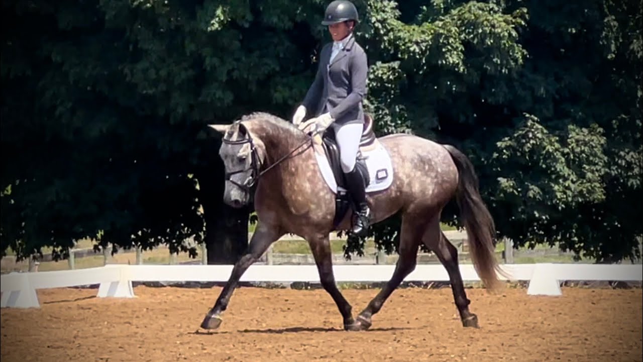 Marcelo - 🥇at Waredaca - YouTube