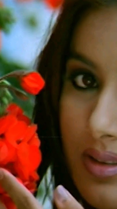 Ninnindale BGM YT Shorts | Milana | Puneeth Rajkumar | Pooja Gandhi | Manomurthy - YouTube