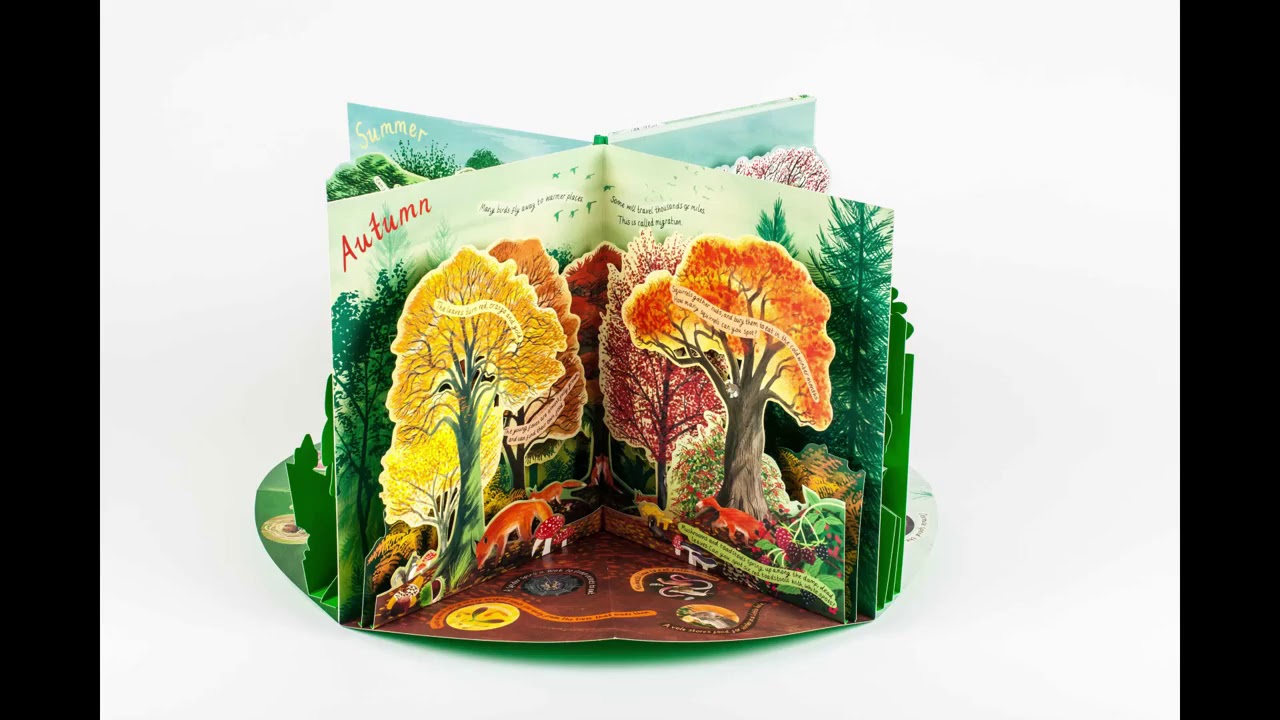 Pop-up Carousel Book: A Year In Nature - YouTube