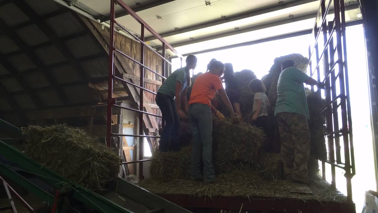 Hay wagon unloading Time Lapse - YouTube