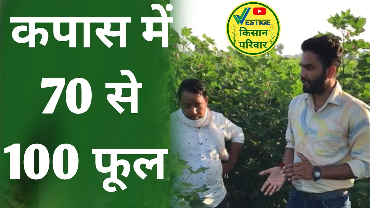 How to grow narma cultivation with Vestige Products || Testimonial ...